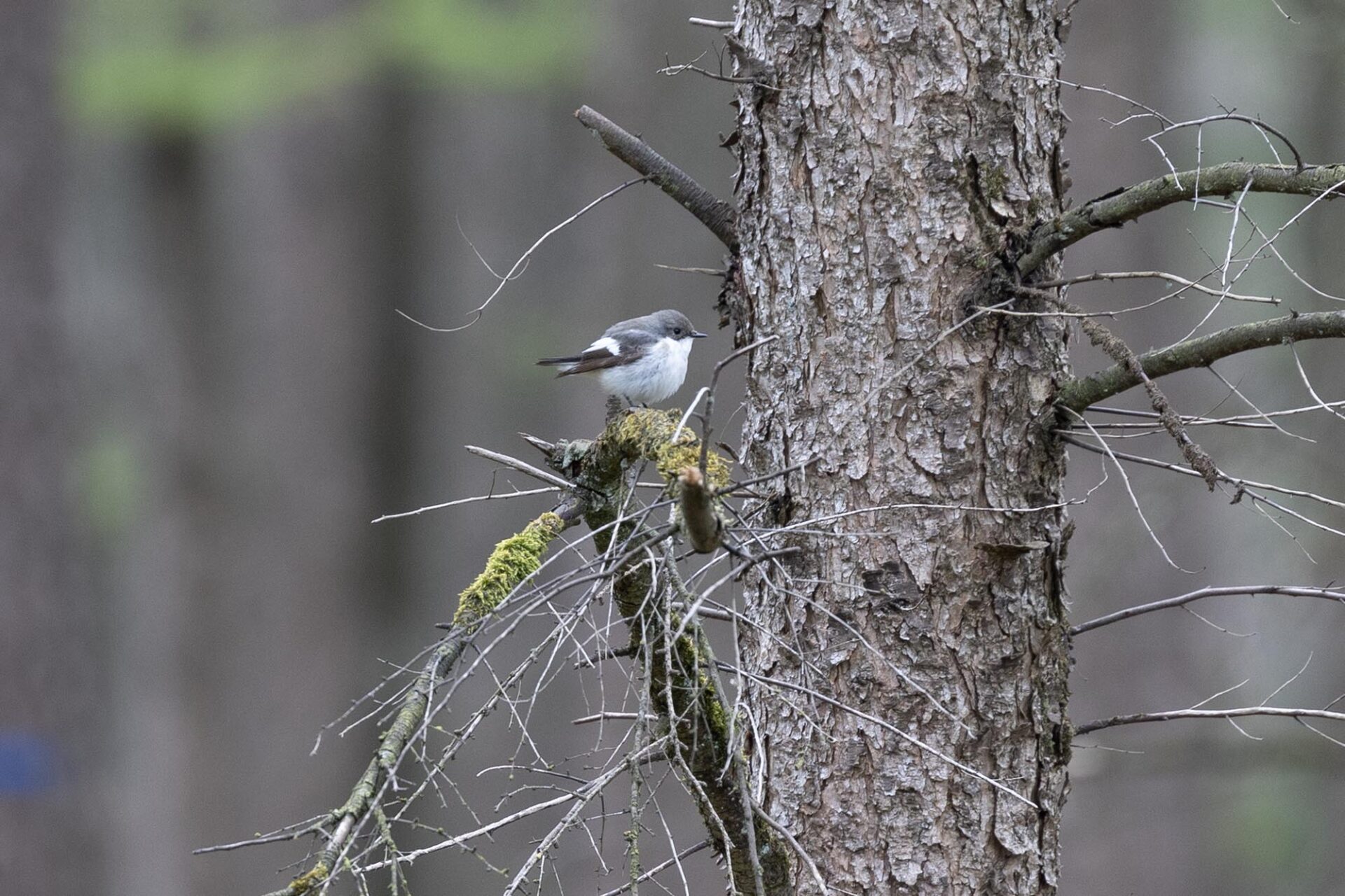 De mooiste wandel- en fietsroutes vanuit Landal Rabbit Hill